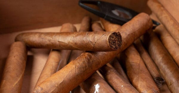 Choosing the Perfect Cigar | Cremo Cigars