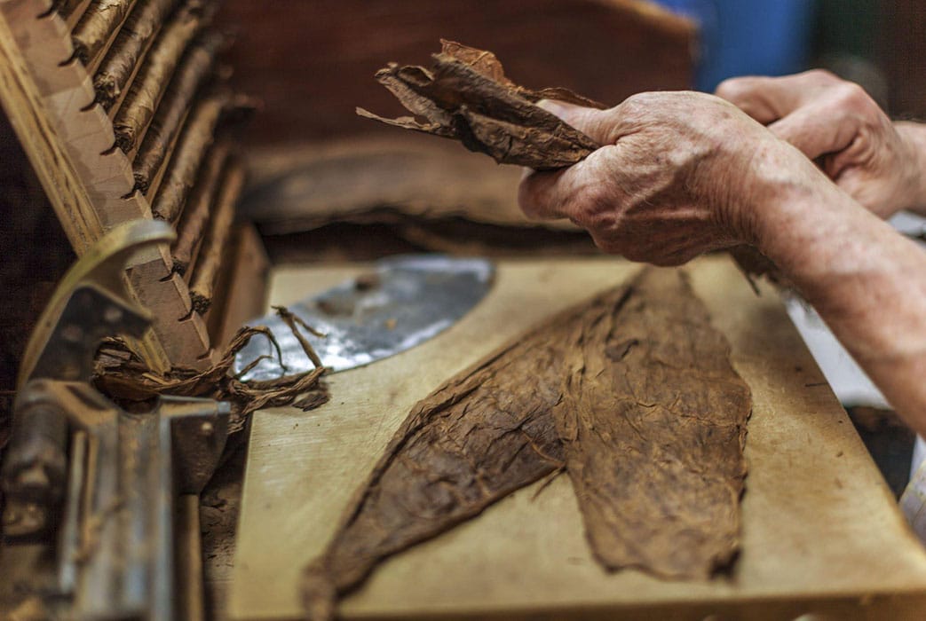 The Beginnings of Cigars | Cremo Cigars