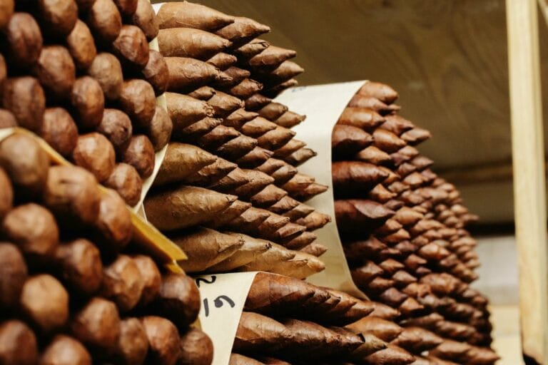 The Best Cigar Bundles in Miami - Cremo Cigars